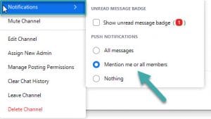 How to turn off Zoom chat notifications and alerts?
