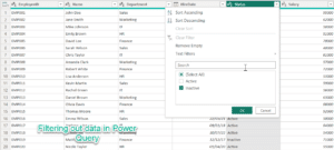 How to filter out certain rows in Power BI & Query?