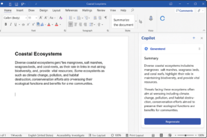 How to summarize Word documents with copilot?